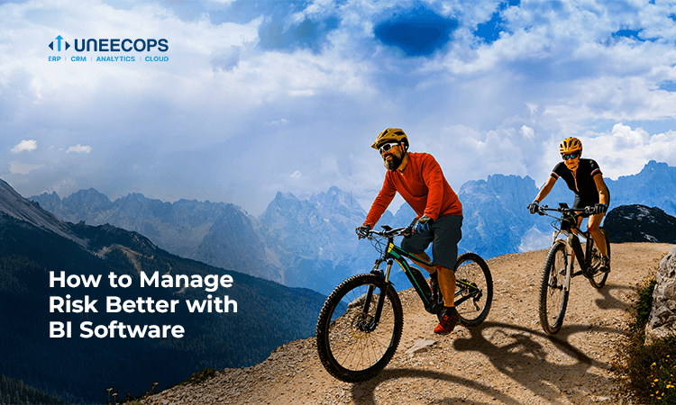 Risk Management Process With Business Intelligence Software