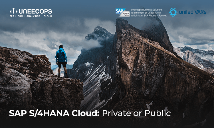 SAP S/4HANA Cloud: Private or Public - Choosing the Right Cloud